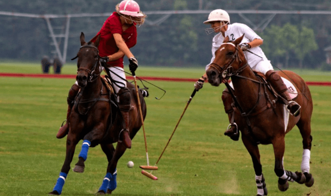 What is the role of each player position in polo? - flocourse